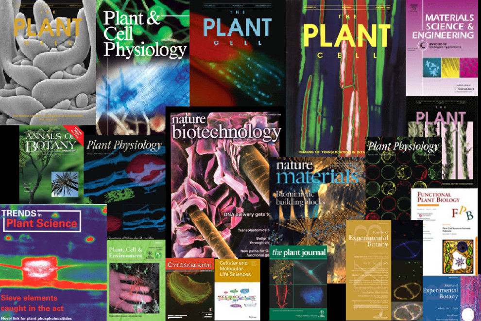 Michael Knoblauch Lab | Washington State University