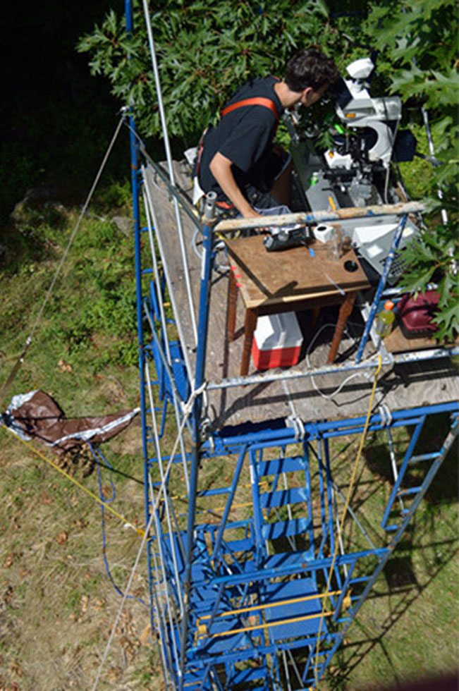 Research | Michael Knoblauch Lab | Washington State University