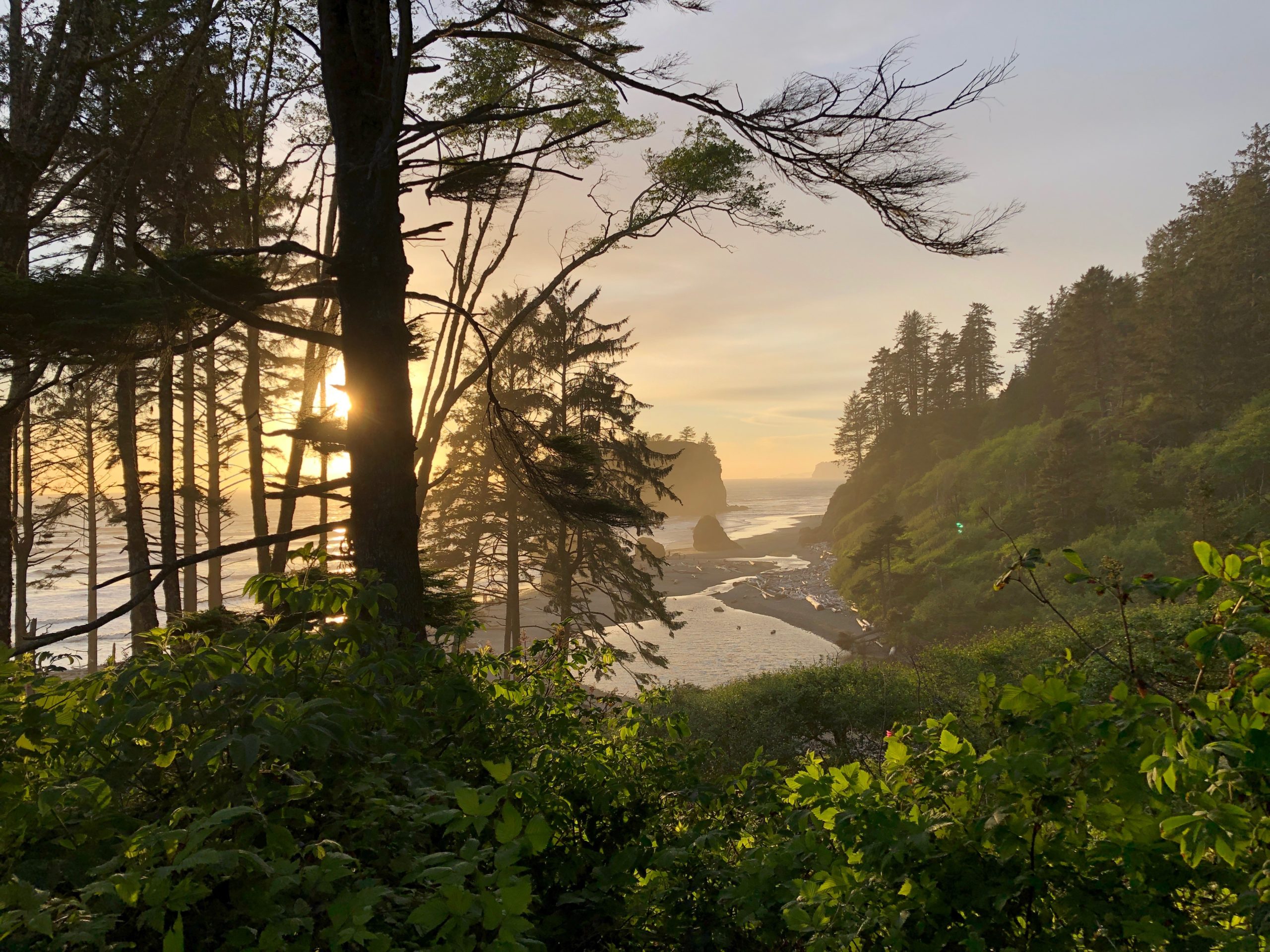 Sunset at Ruby Beach, WA by Heidy Dardon | LandEscapes | Washington ...