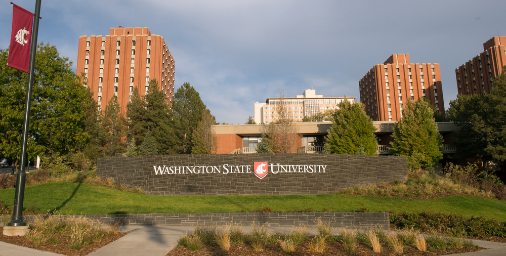 Research Scholars | Washington State University