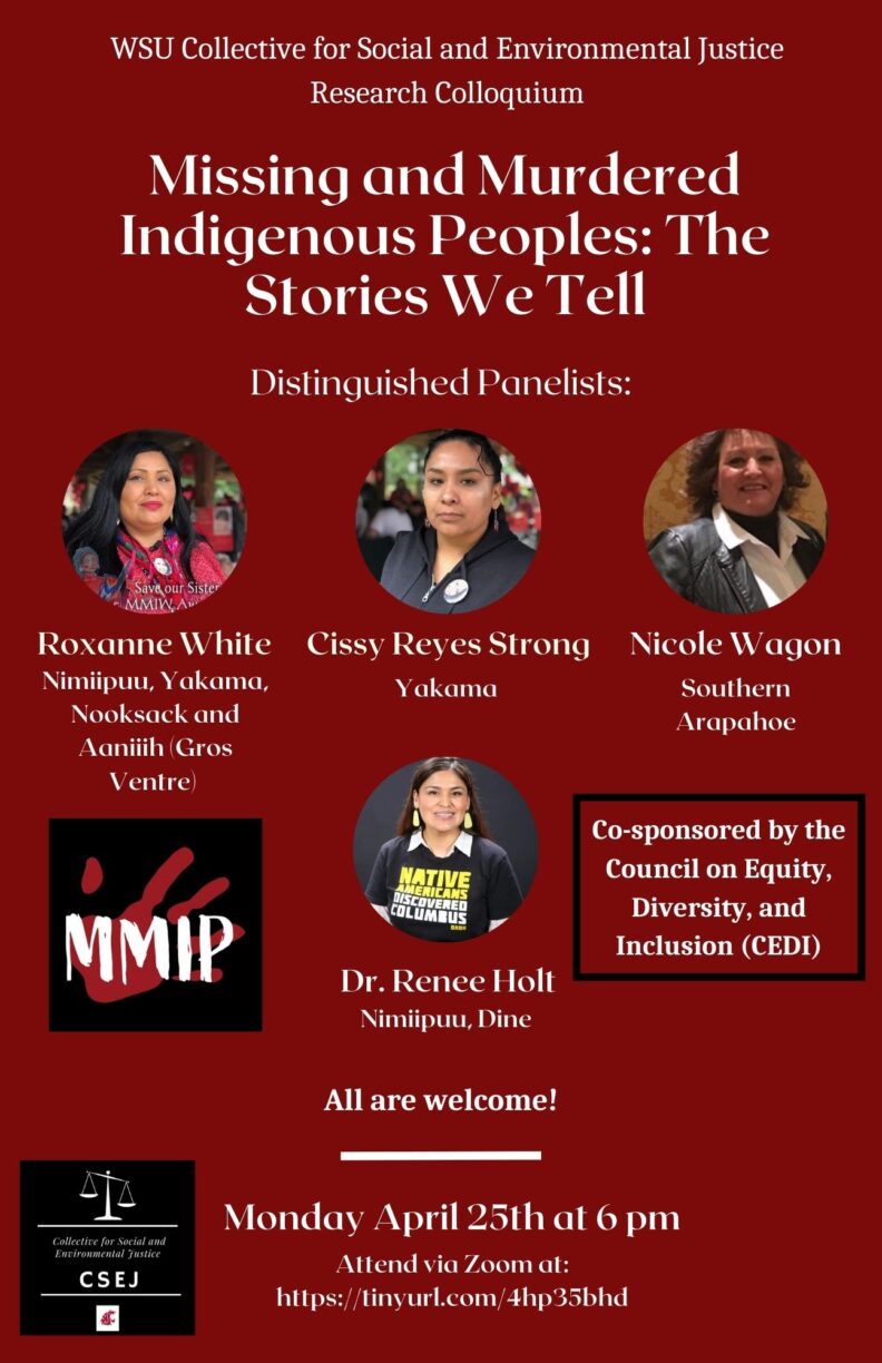 Missing and Murdered Indigenous Peoples: The Stories We Tell | Native American Programs ...