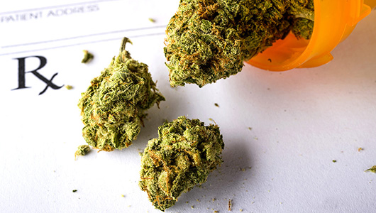 Researching potential negative effects of cannabis | College of Arts ...