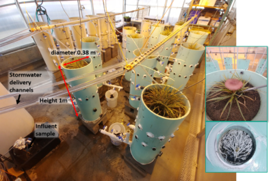 Bioretention | Jayakaran Faculty Page | Washington State University