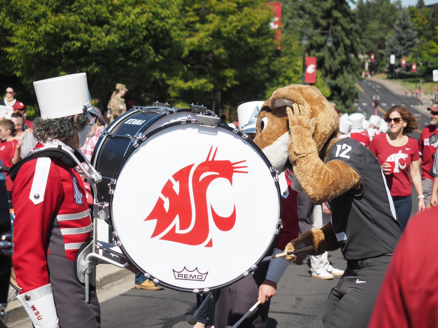 Drumline | Cougar Marching Band | Washington State University