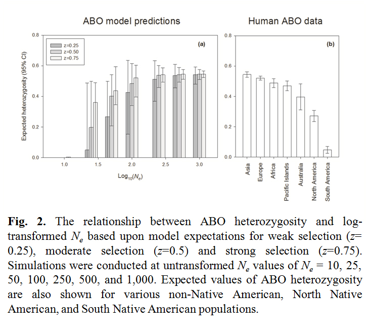 ABO-NX Model (Teaching Resource) | Fernando Villanea | Washington State ...
