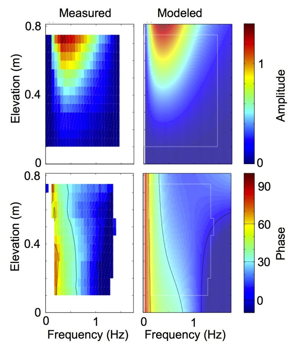 Flow through vegetation | Environmental Hydrodynamics | Washington ...