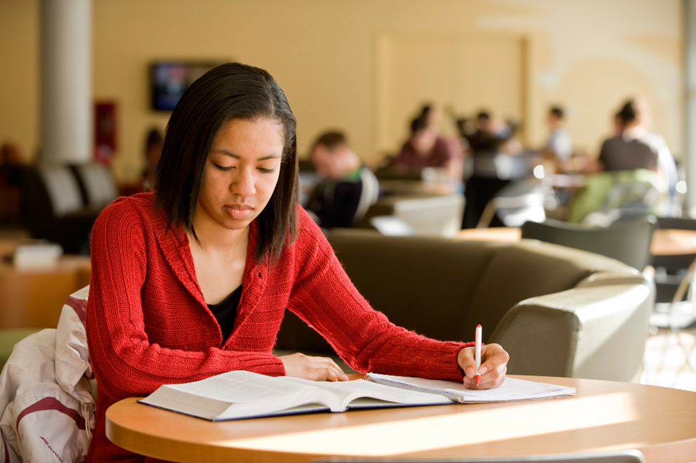 Promoting Academic Ways to Success | Office of the Provost | Washington ...