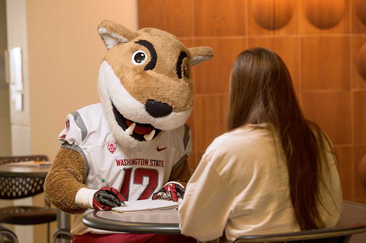 Explore Site | Washington State University