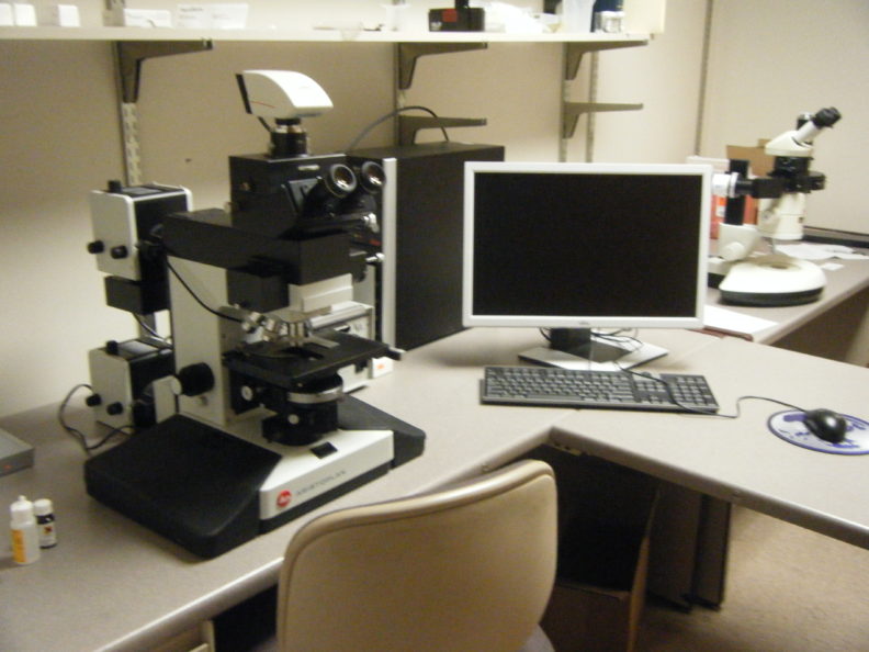 High Resolution Light Microscopy with Fluorescence | Franceschi ...