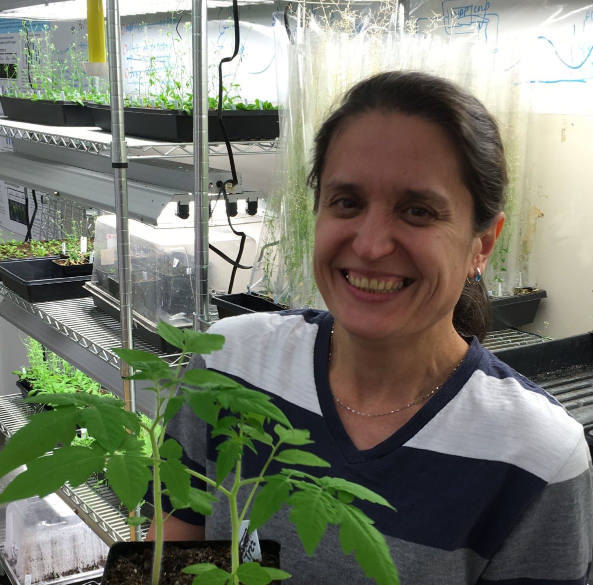 Natalia Moroz | Tanaka Lab | Washington State University