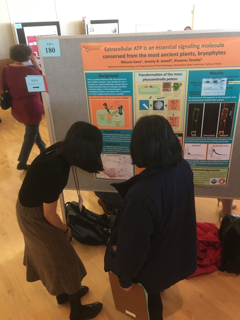 Misumi Sano presented a great poster at SURCA | Tanaka Lab | Washington ...