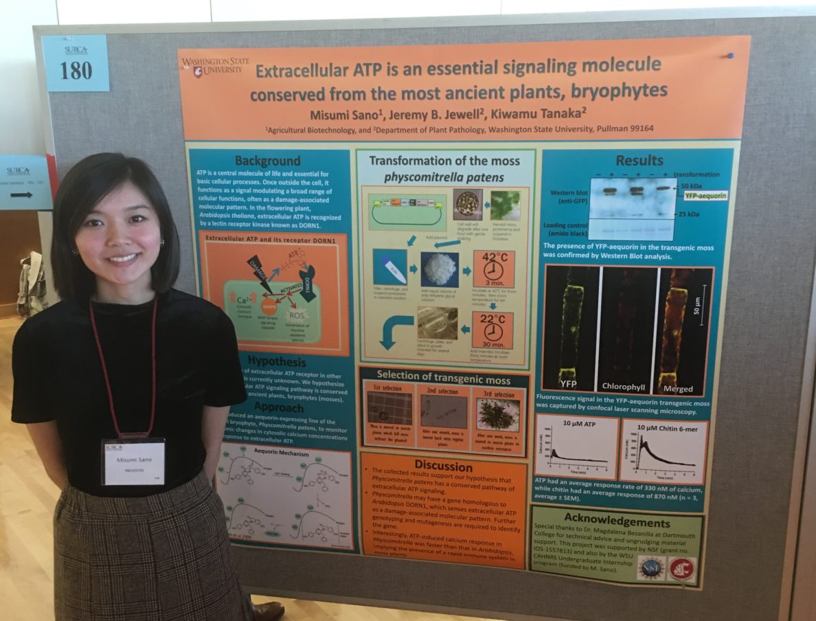 Misumi Sano presented a great poster at SURCA | Tanaka Lab | Washington ...