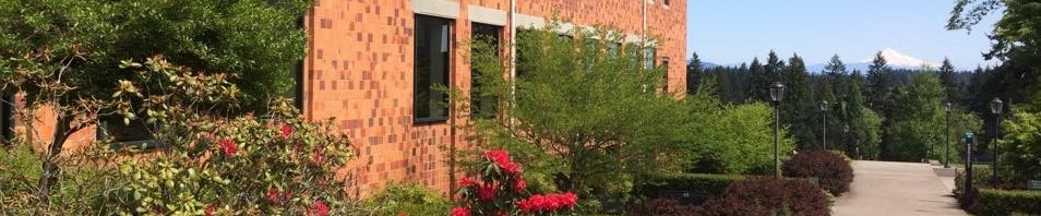 Navigating Your Degree | Graduate School | Washington State University