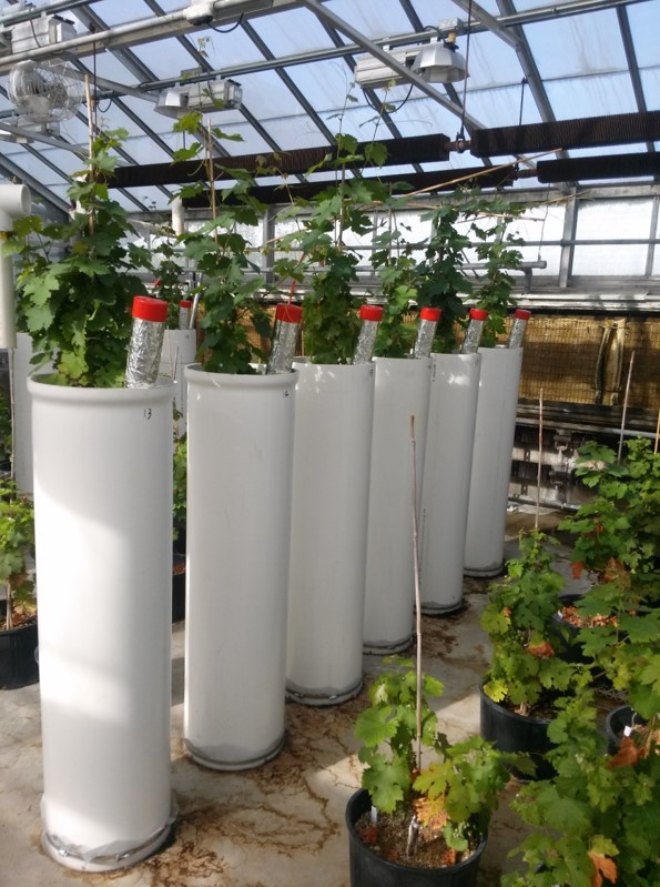 Photos | Jacoby Laboratory | Washington State University