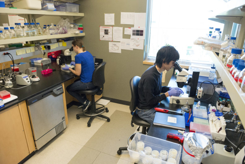 People | | Washington State University