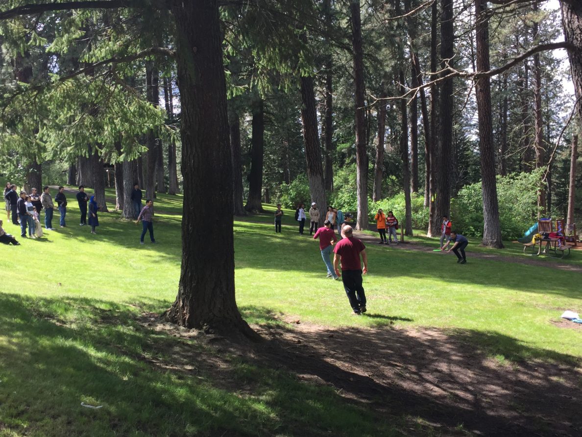 Lab Activity Photos | Min Du Laboratory | Washington State University