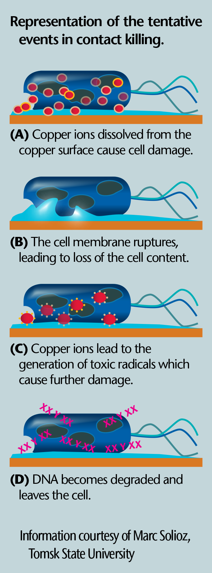 Surfacide Solutions’ {Cu}poxy to Transform the Way We Combat Infectious ...