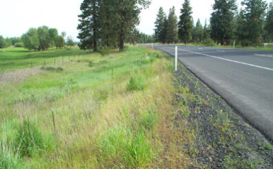 Helping highways better handle water runoff | Composite Materials ...