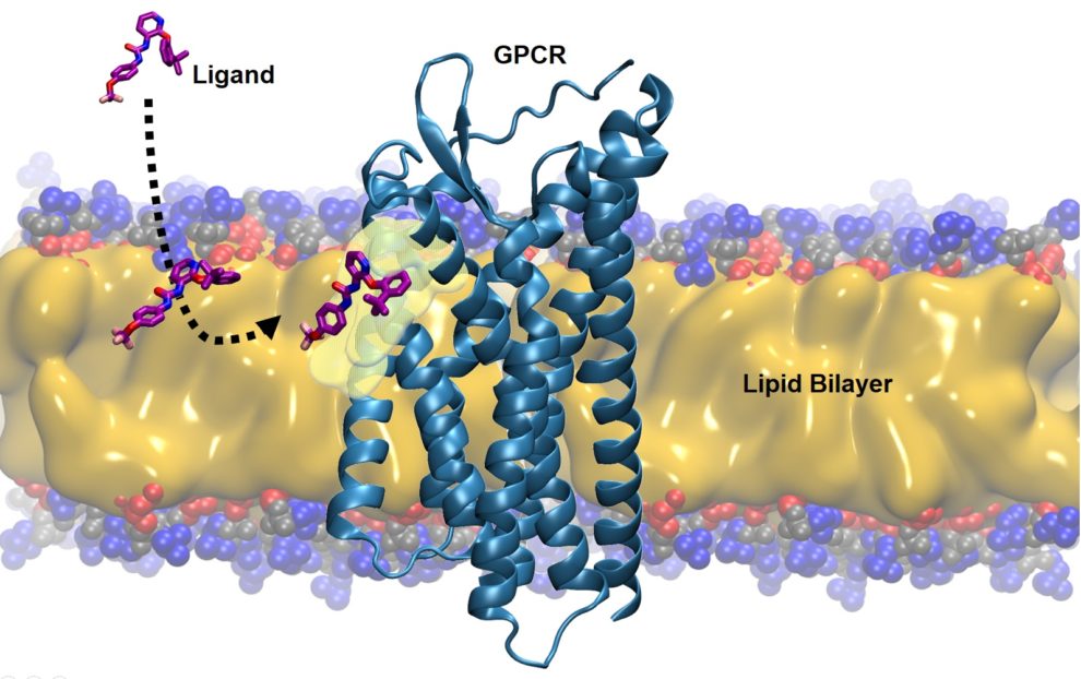 Computer-Aided Drug Design | Washington State University