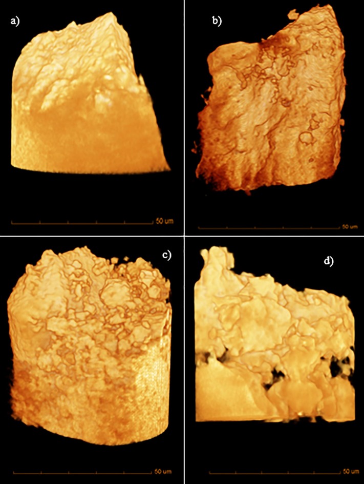 Nano-CT 3D X-ray microscopy | Institute of Materials Research ...