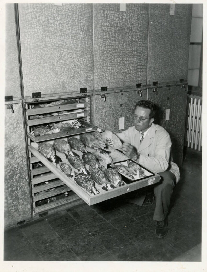 Dr. George Hudson | Hudson Biological Reserve Lab Site | Washington ...