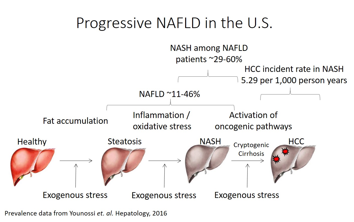 Research in Toxicities in NAFLD | John Clarke Lab | Washington State ...