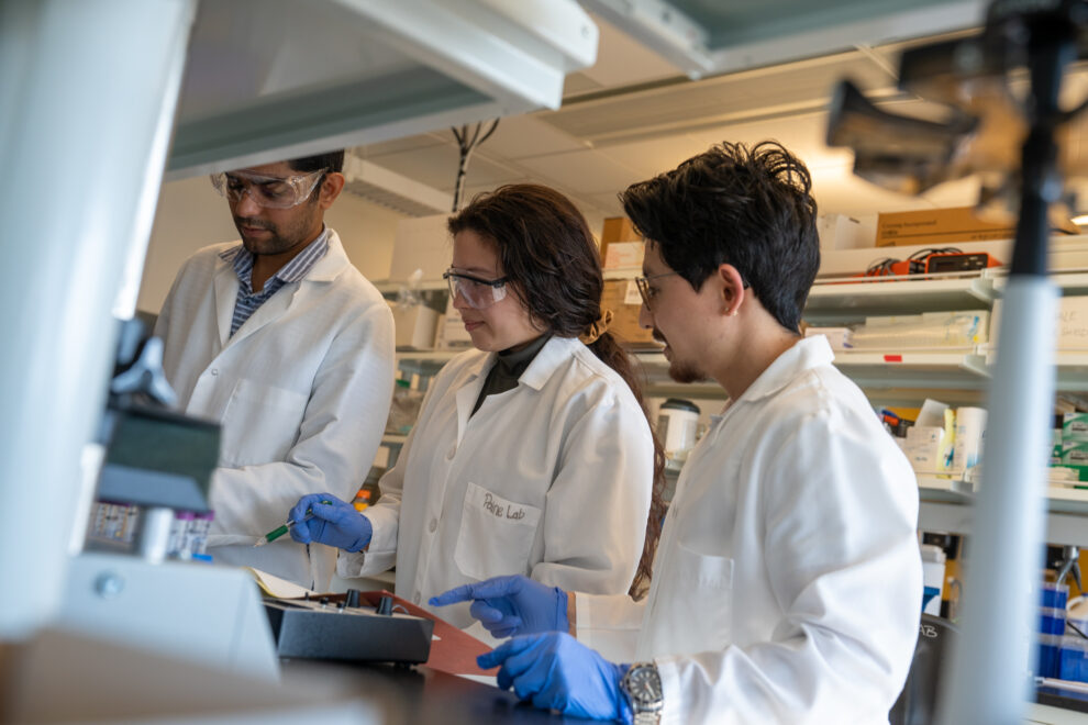 Research | | Washington State University