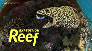 Upcoming October Planetarium Shows | Events | Washington State University