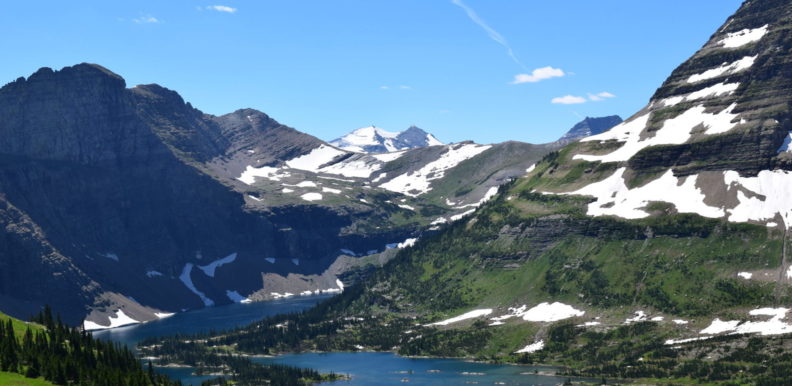 Internships – Nancy Fu