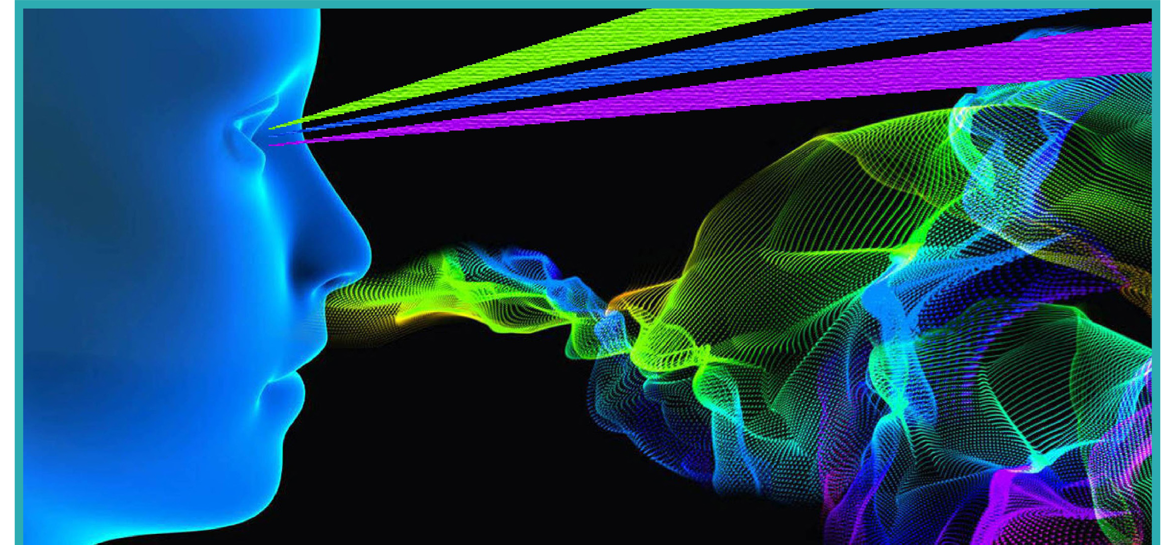 Family Science Saturday: Engineering our senses | Events | Washington ...