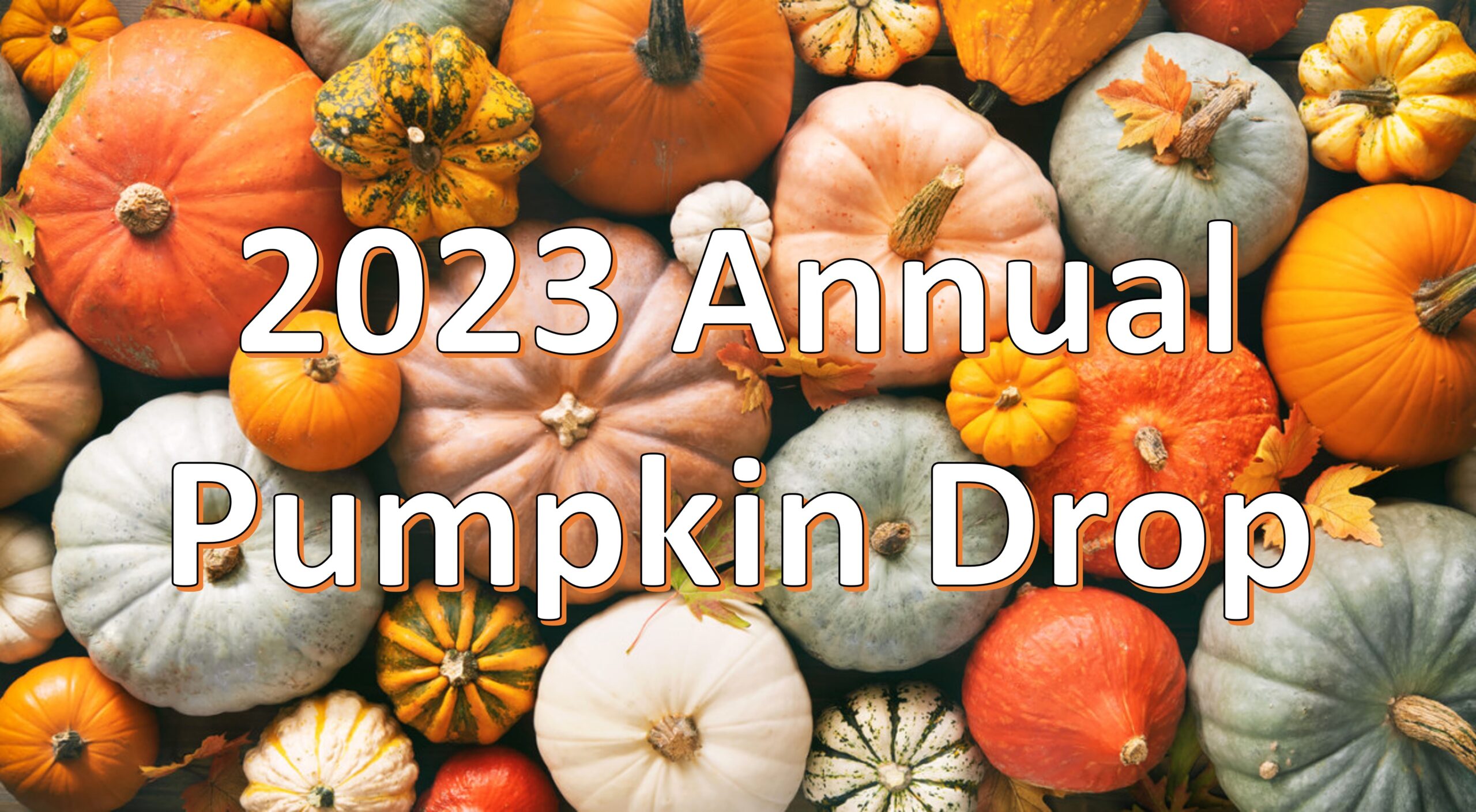 18th Annual Pumpkin Drop | Events | Washington State University