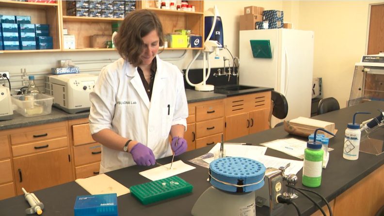 RESEARCH | Quantitative Wildlife Ecology and Conservation Lab ...