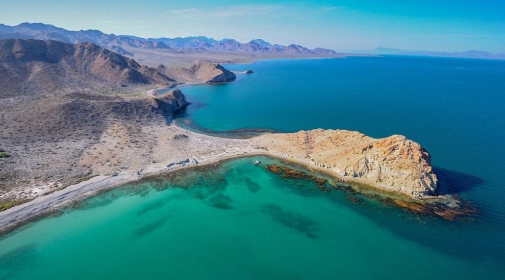 BAJA, MEXICO SUMMER COURSE | Quantitative Wildlife Ecology and ...