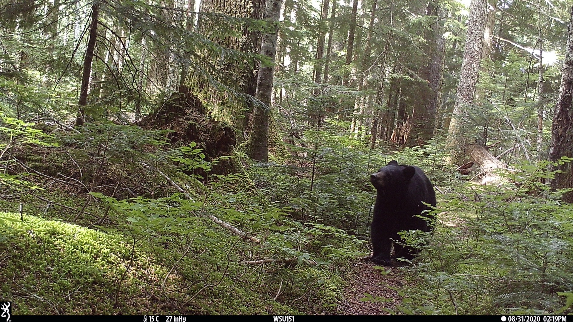 LAB NEWS | Quantitative Wildlife Ecology and Conservation Lab ...