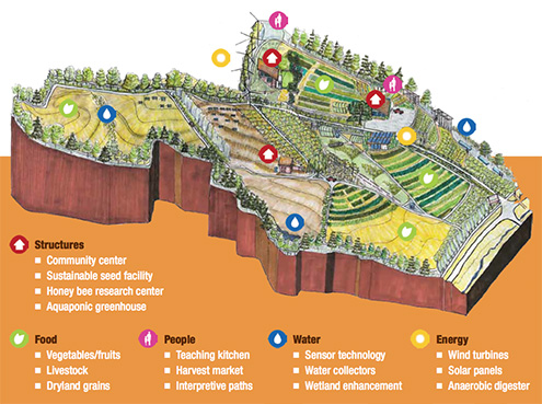 WSU’s Green Times- Reforestation, Freshwater, Organic Farm | College of ...