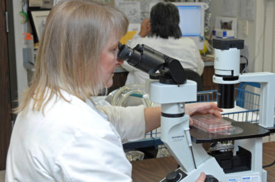 The Disease Detectors | Advance Newsletter | Washington State University