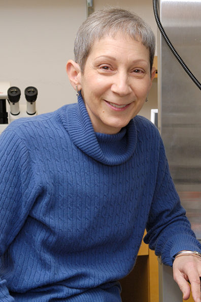 Awards and Achievements: Congratulations to Drs. Hunt and Ritter ...