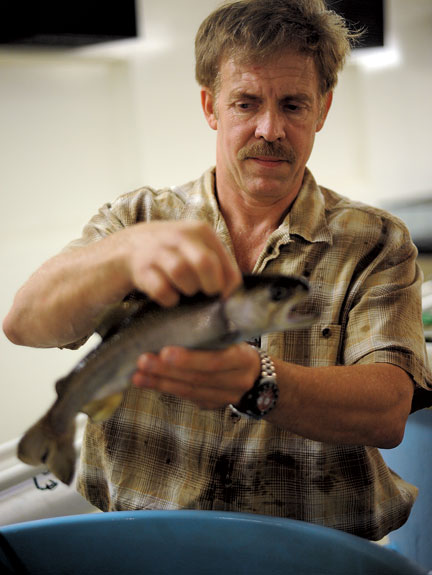 Collaboration Spotlight: Washington Stormwater Center | Entrepreneurial ...