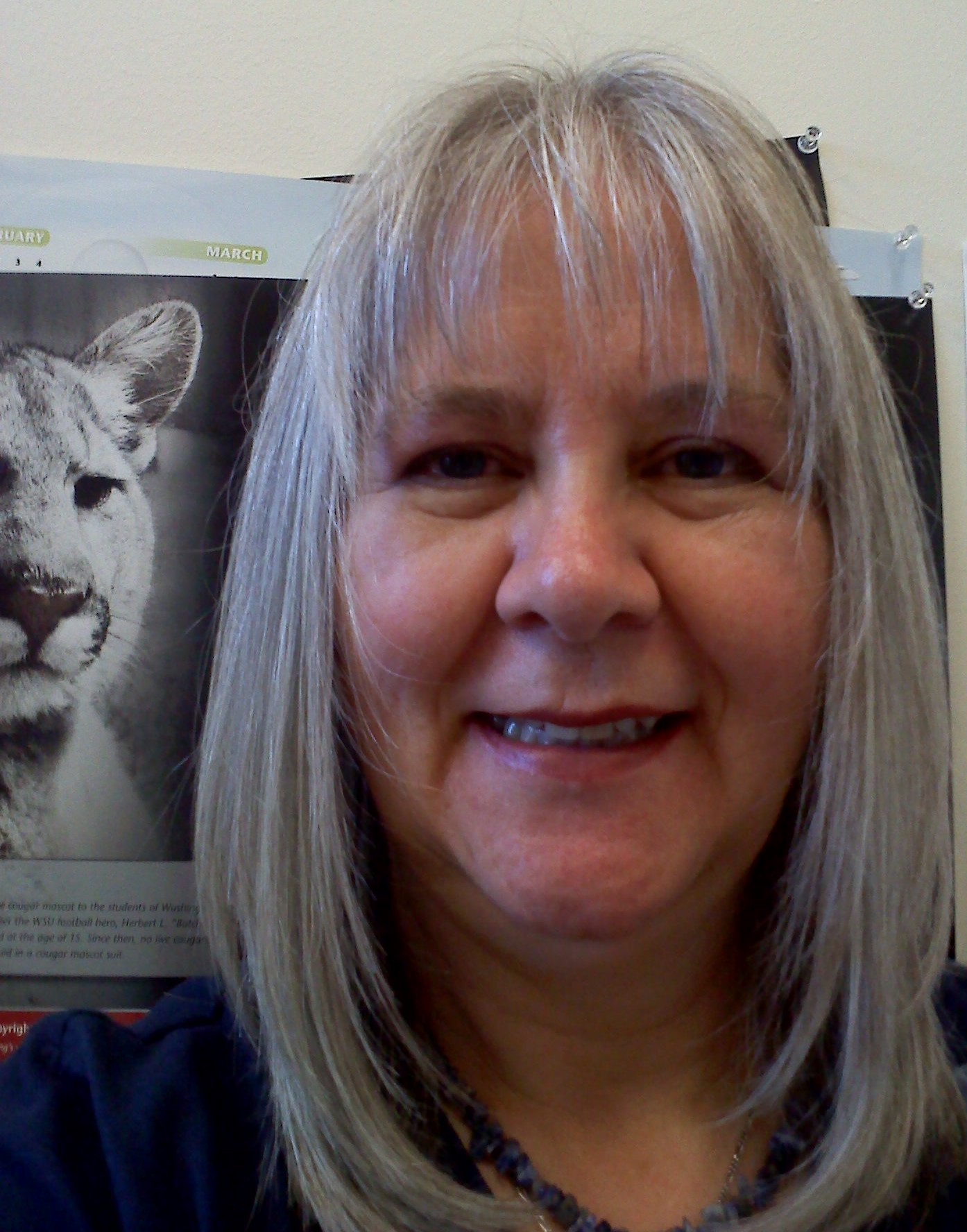 Foreign Languages & Cultures major | School of Languages, Cultures, and ...