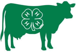 News | 4-H Youth Development Program | Washington State University