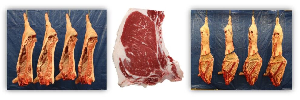 News | 4-H Youth Development Program | Washington State University