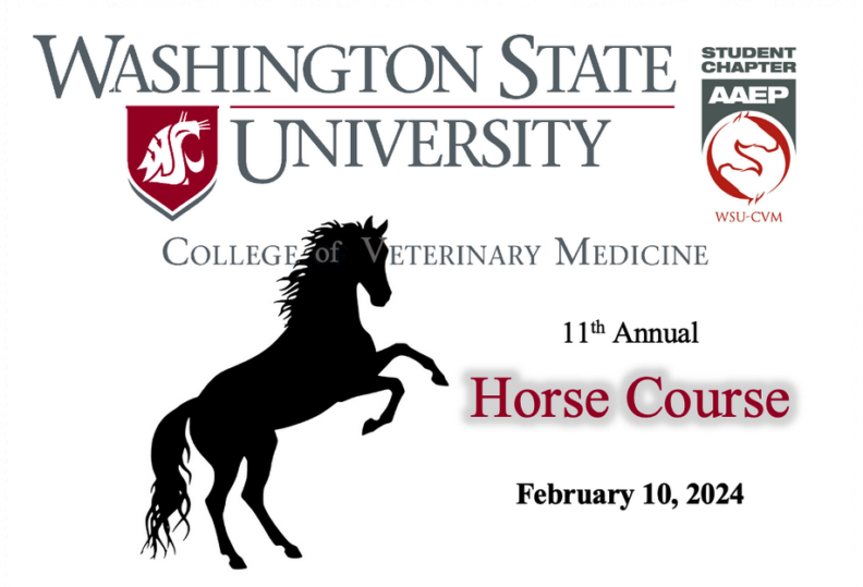 News | 4-H Youth Development Program | Washington State University