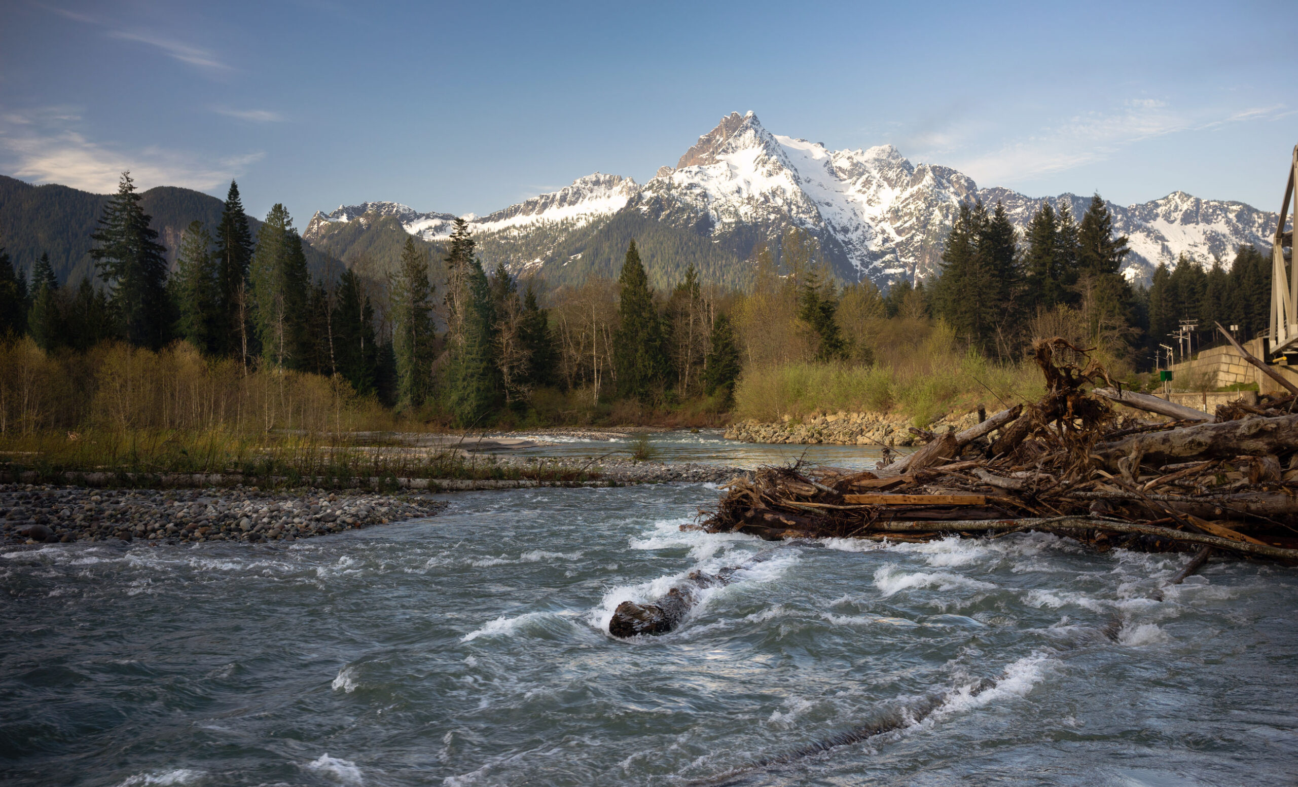 Beach Watchers | Snohomish County | Washington State University