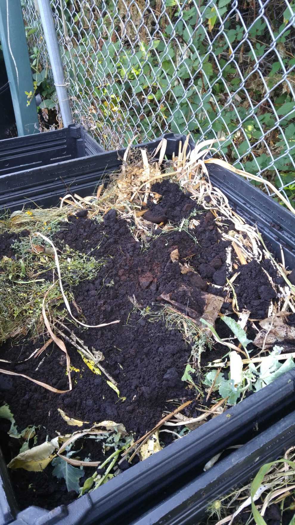 Yard & Food Waste Composting Workshop | Thurston County | Washington ...