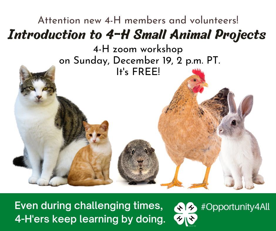 Explore 4-H With a New Zoom Workshop! Introduction to Small and ...