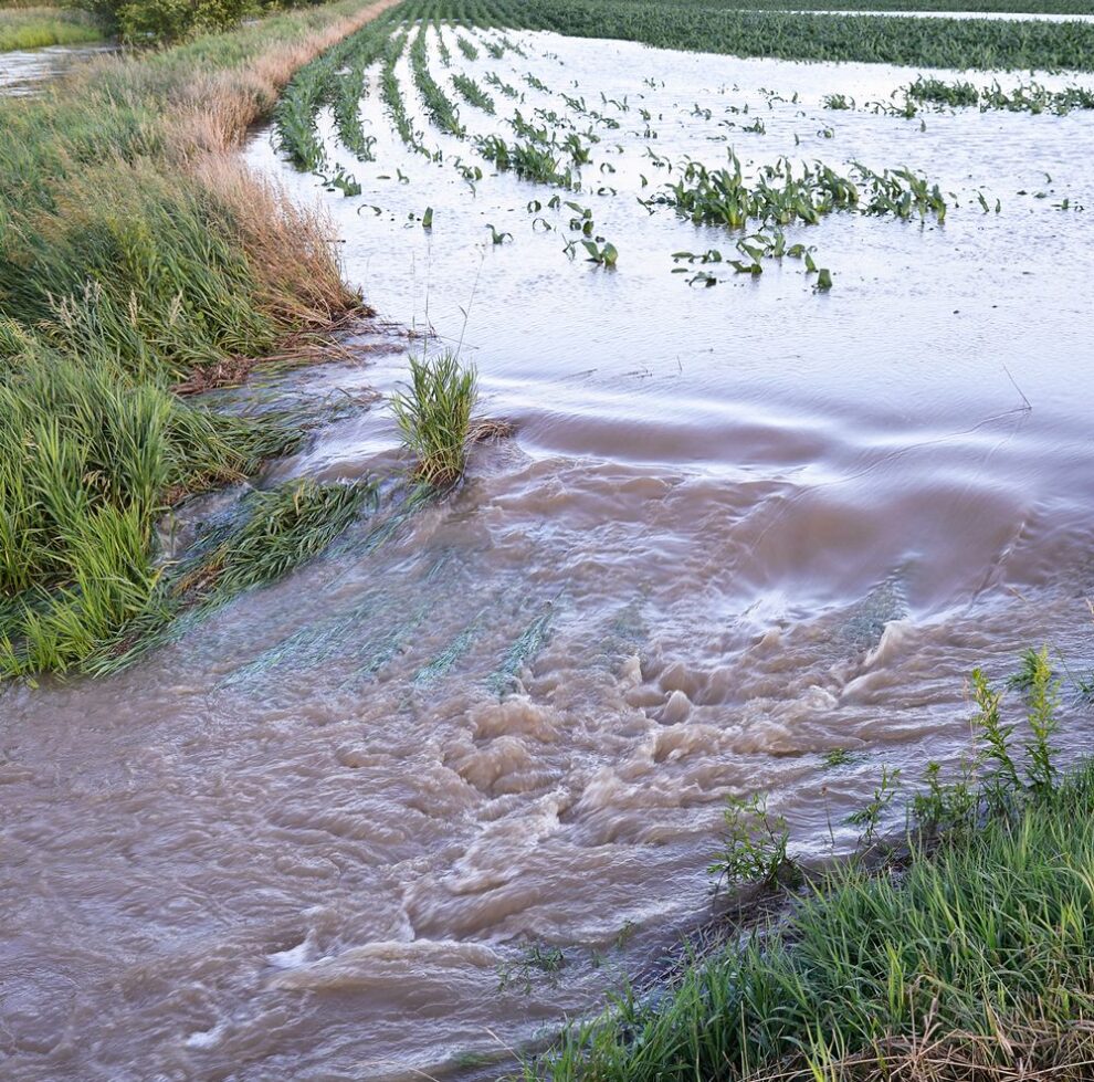 Rural Stormwater Solutions | Thurston County | Washington State University