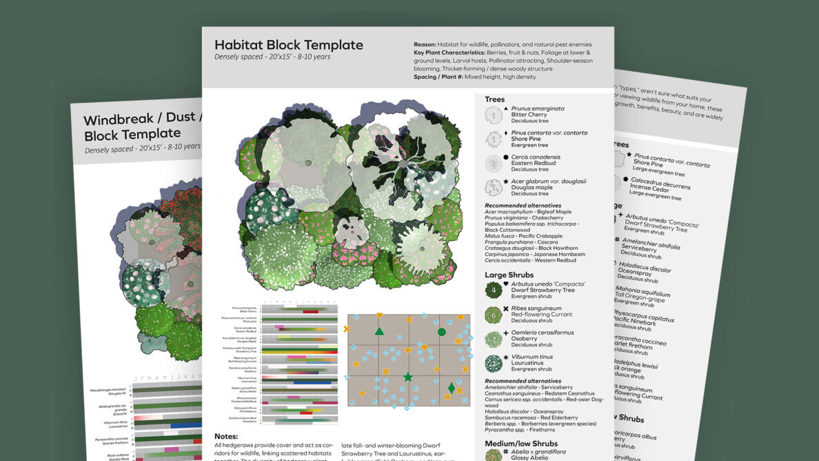 Hedgerows for Rural & Working Lands | Thurston County | Washington ...