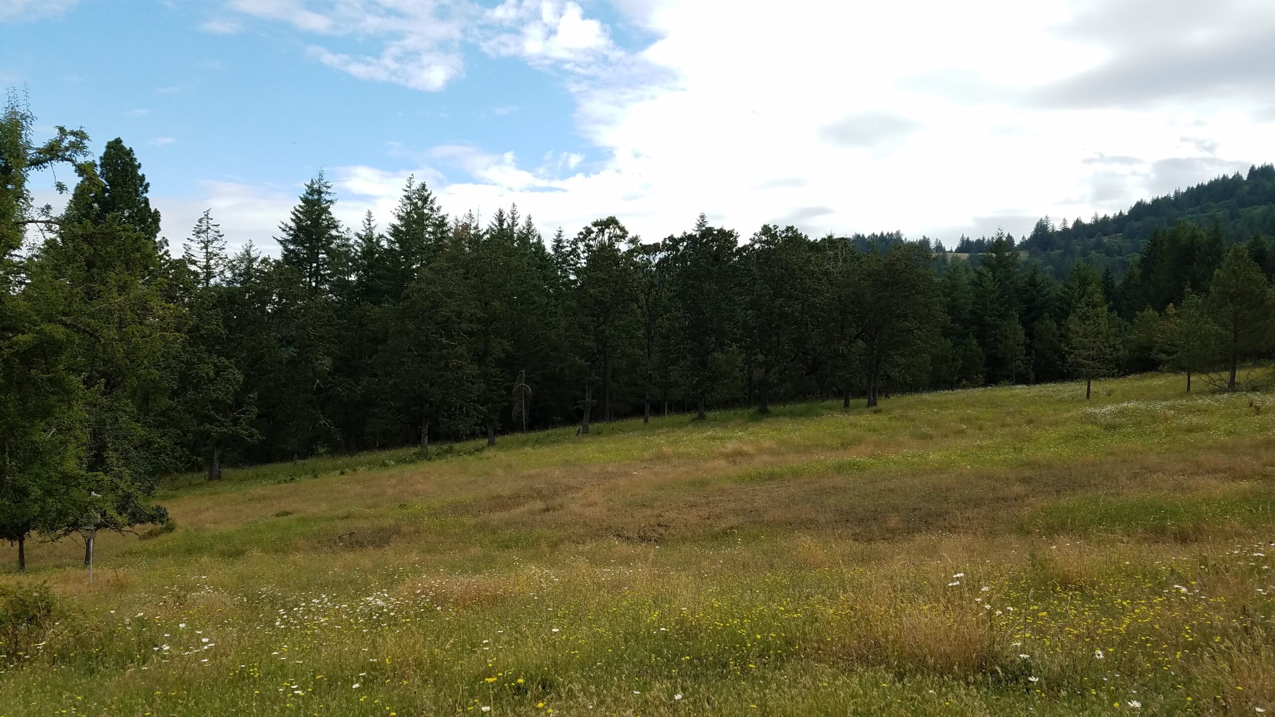 Lewis County | Washington State University