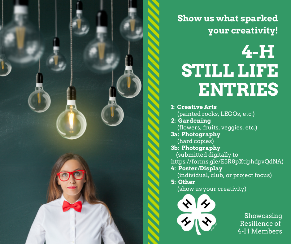 4-H Still Life Entry Categories | Grays Harbor County | Washington ...