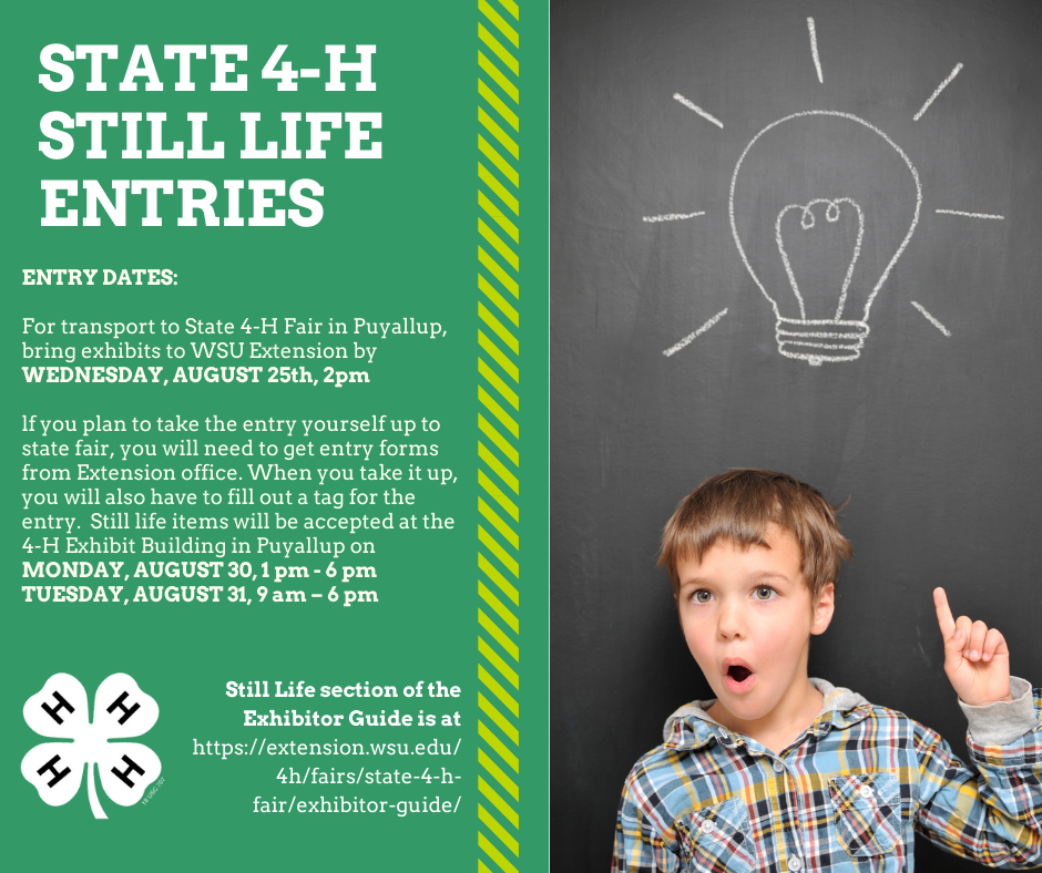 State 4-H Still Life Entry Info | Grays Harbor County | Washington ...
